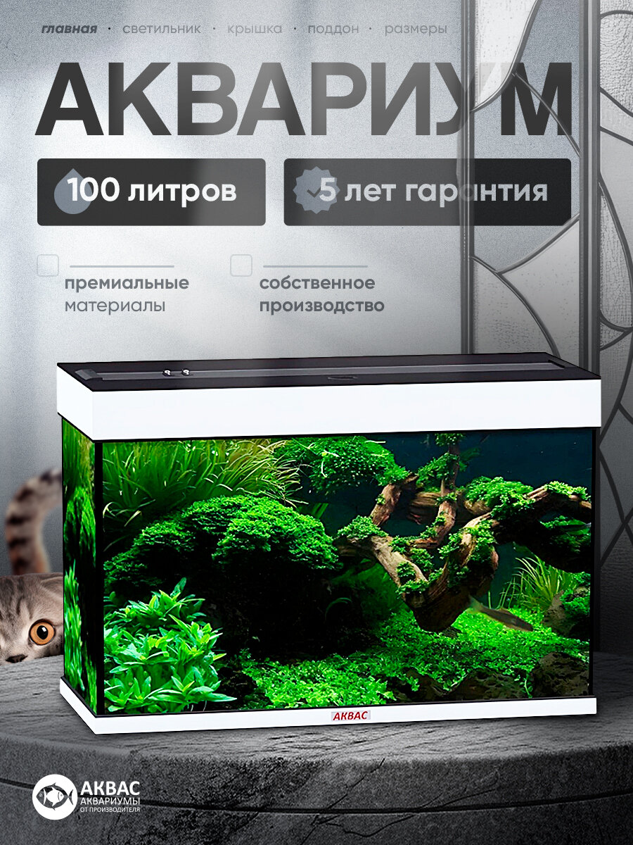 Аквариум 100 литров с крышкой и освещением, (76*31*52 см) Аквас