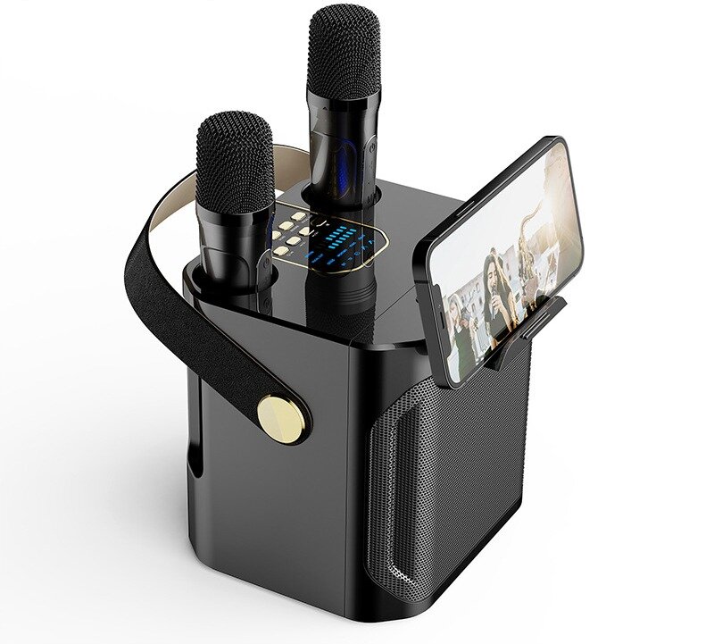 Музыкальный центр с караоке и Bluetooth, 2 микрофона, портативный, стереозвук 360°, для дома
