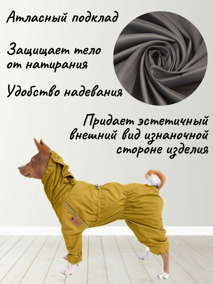 Одежда для животных — фото 1