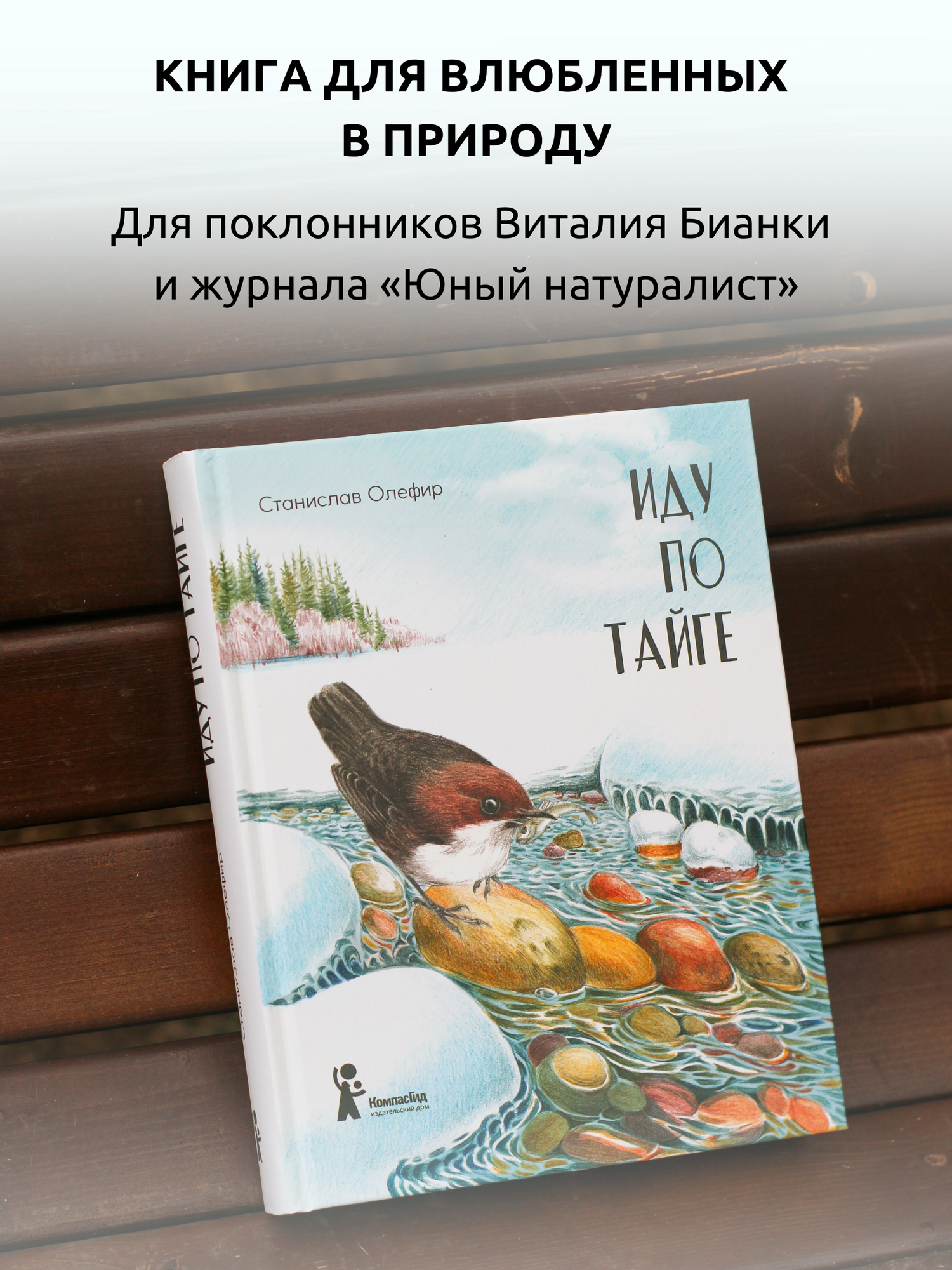Иду по тайге. Рассказы о природе и животных северного леса. Станислав Олефир, КомпасГид — фото 1