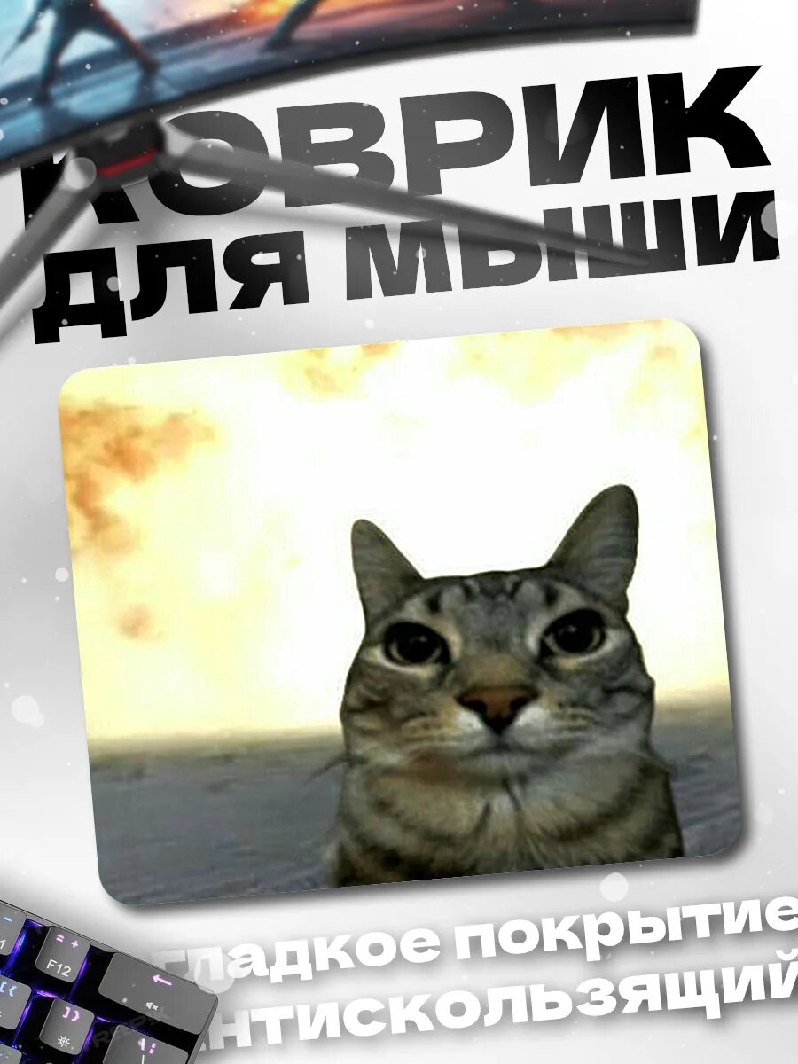 Коврик для мыши Котик вариант 4