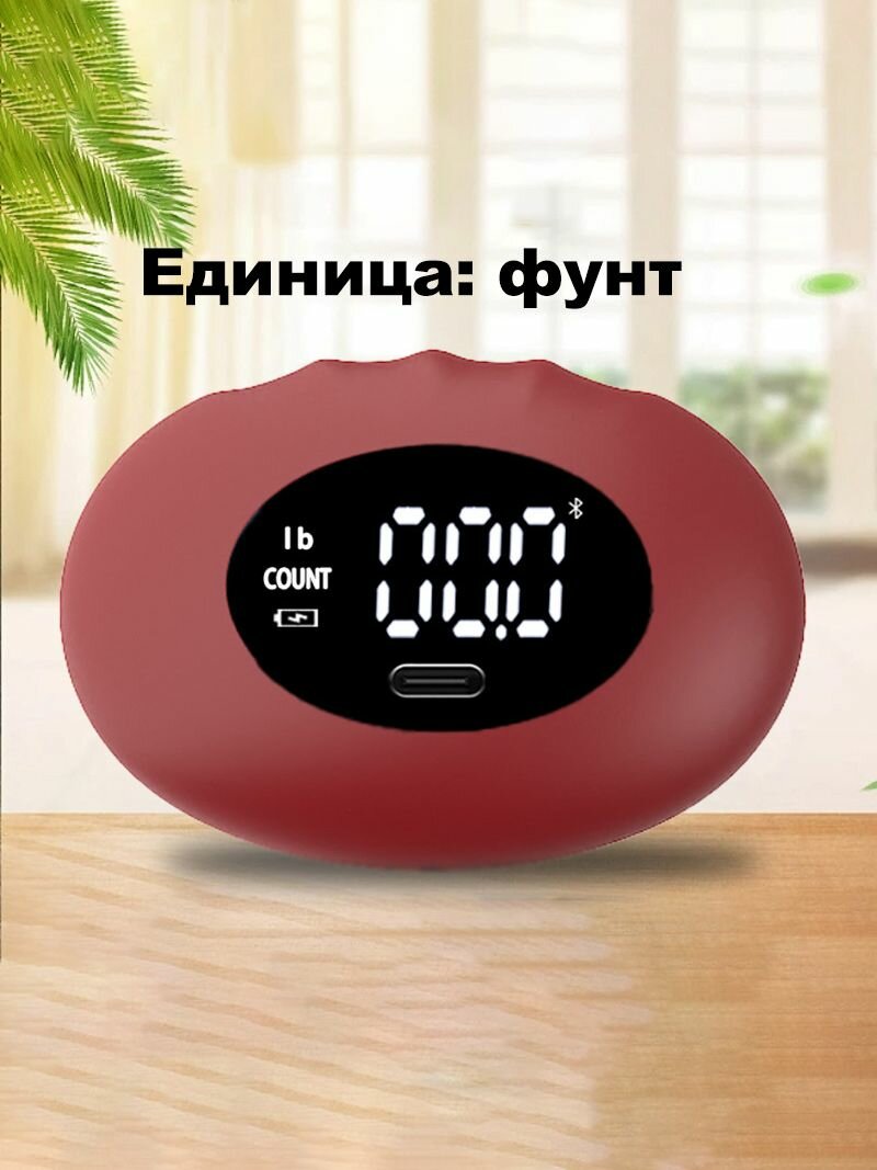 Силомер
