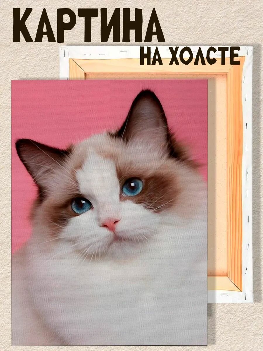 Картина на стену Милые котики, на подрамнике, 1шт, 25х17 размер.