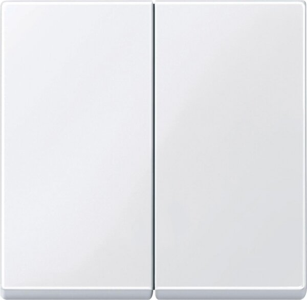 Клавиша двойная Schneider Electric Merten SM Белый Актив