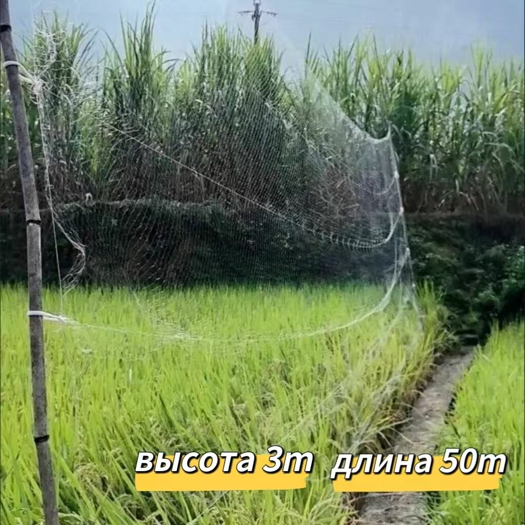 Негабарит Орнитологические сети для ловли птиц50000*3000mm