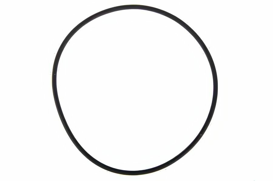 Кольцо уплотнительное помпы FPM для Ивеко Евротрекер, Стралис Z08130 ZENTPARTS