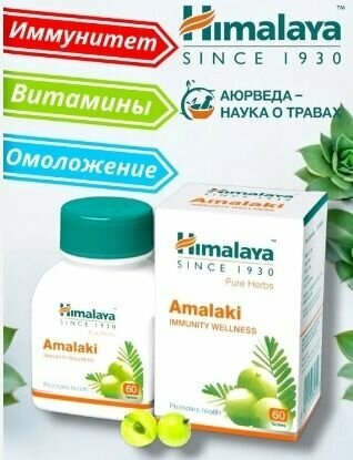 Комплект 2шт. Амалаки, Amalaki Himalaya 60 таб. Индия