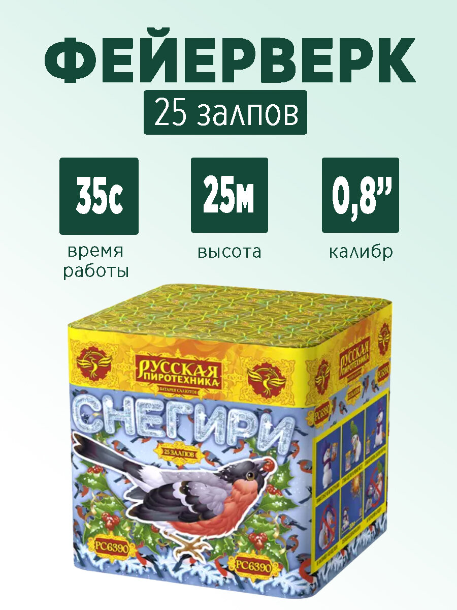 Салют "Снегири" 25 залпов