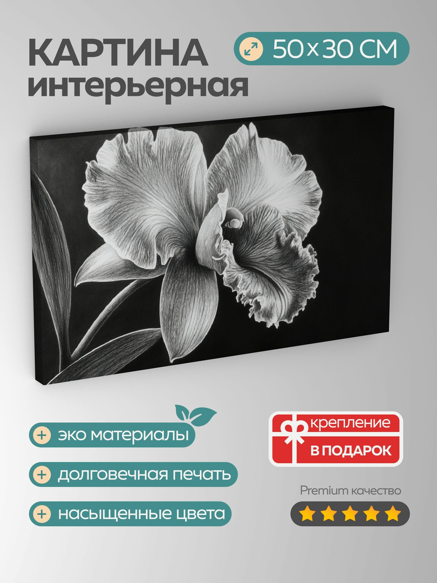 Картина на холсте интерьерная 50х30 см, орхидея, уголь, растушевка, детали, монохромный, элегантность, изящество