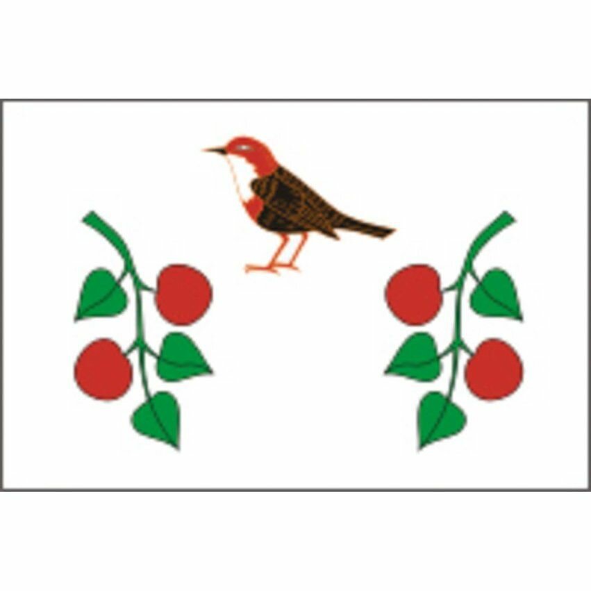 Флаг Бирского района 135x90 см.