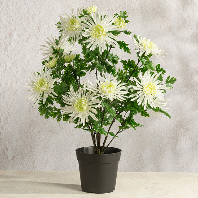 Искусственный цветок в горшке Хризантема Мелтина 60 см, Summer Deco, 5010087