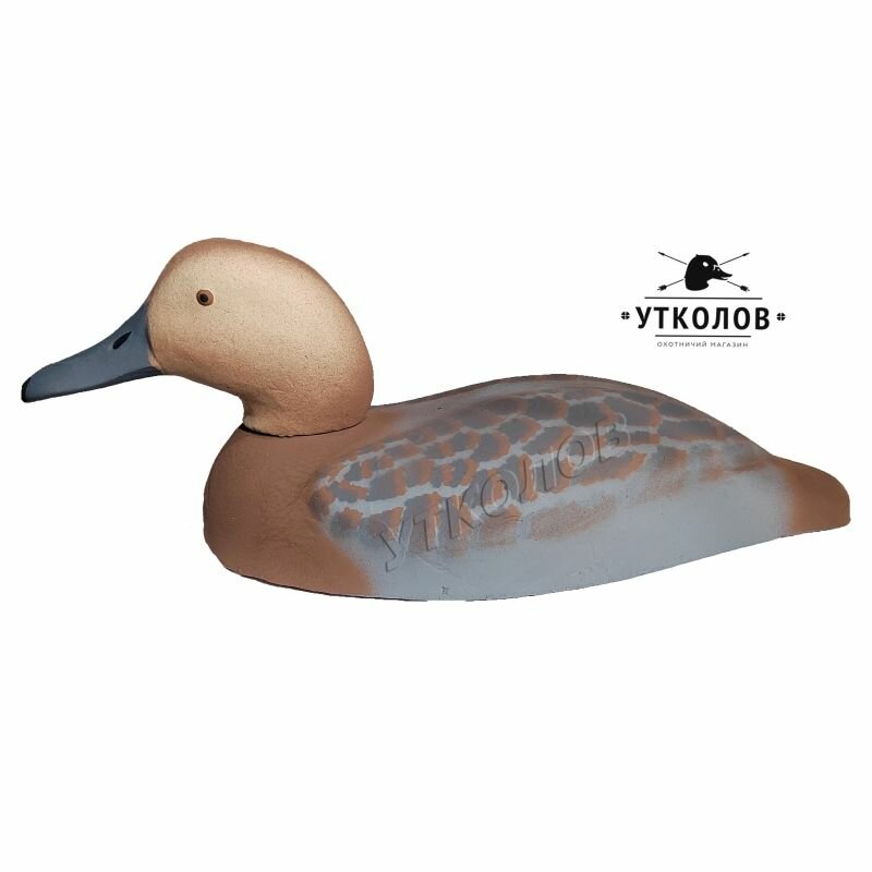 Чучело разборное утки "Красноголовый нырок утка" (полистирол). Съемная голова.