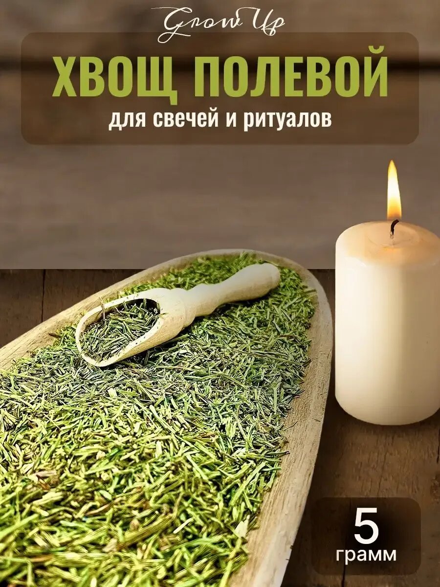 Хвощ полевой сушеные листья 5 гр - сухоцветы для свечей, творчества и ритуалов