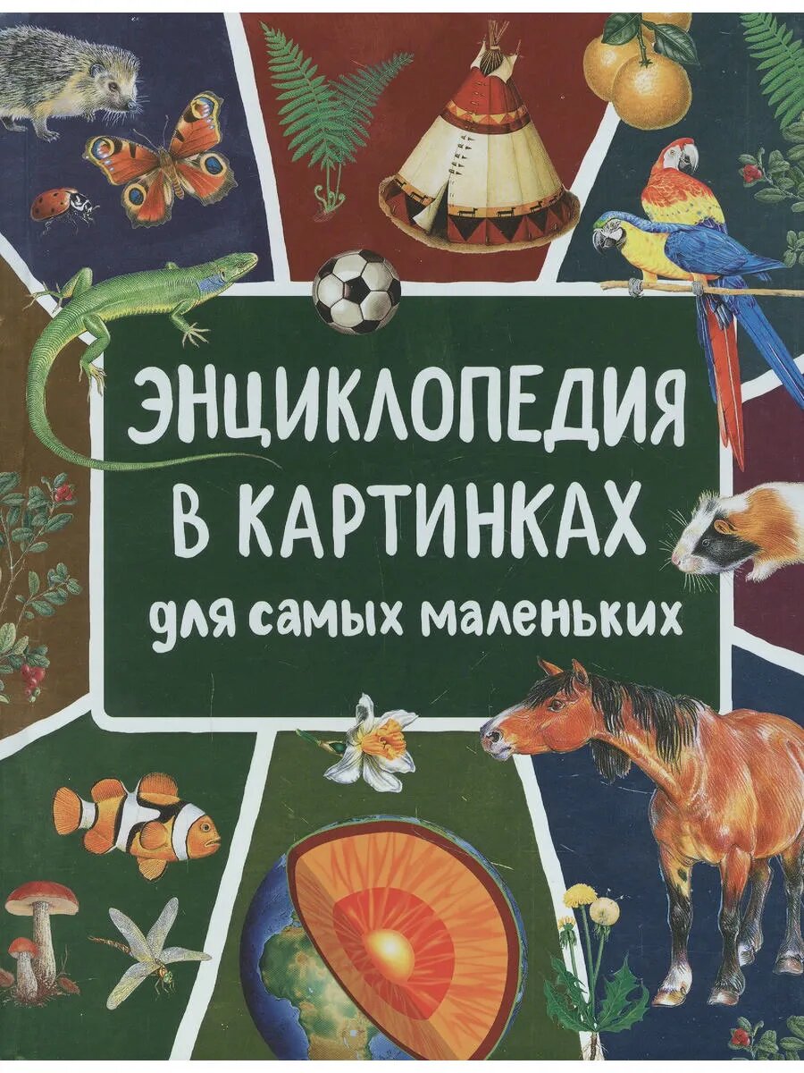 Энциклопедия в картинках для самых маленьких