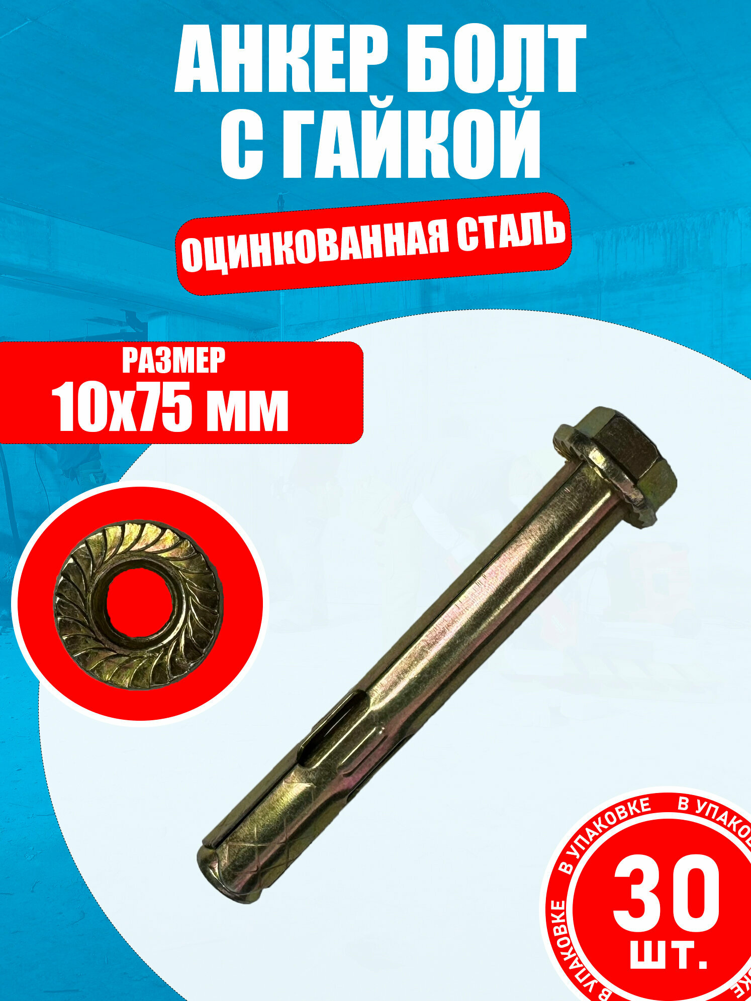 Анкерный болт 10х75 (77) мм с гайкой 30 шт