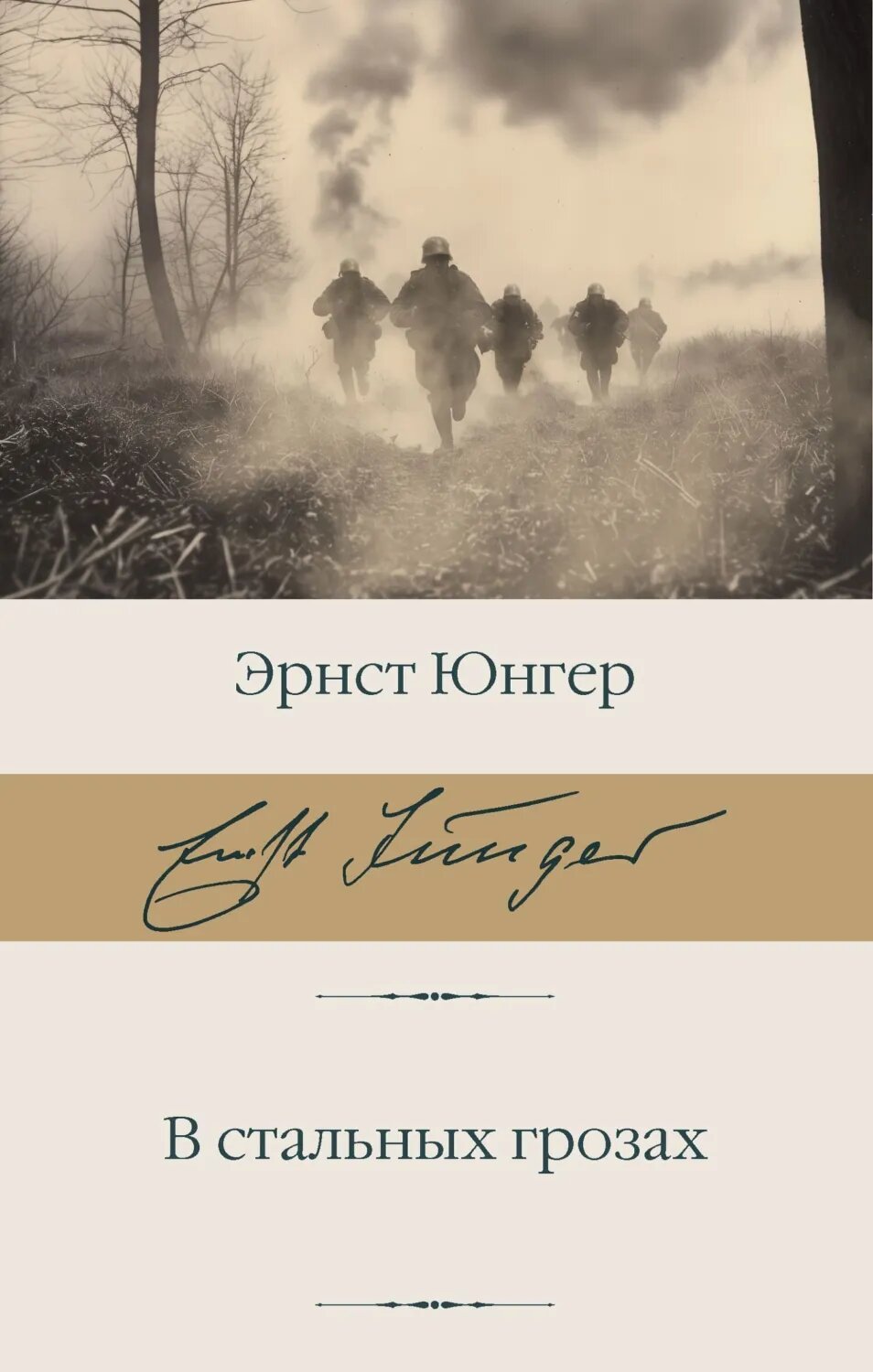 В стальных грозах [Цифровая книга]