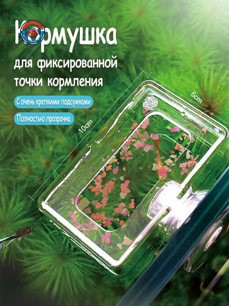 Аксессуары для аквариума и террариума, декоративные и функциональные элементы, наборы для оформления и ухода за рептилиями и рыбками