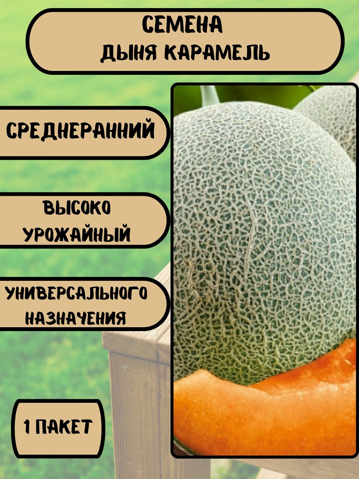 Дыня Карамель, семена 10 шт