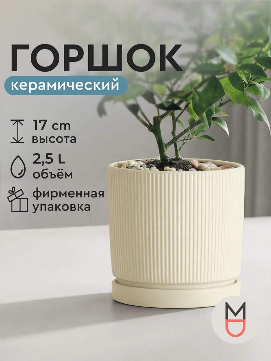 Горшок с блюдцем Рельеф кремовый 16,4 см