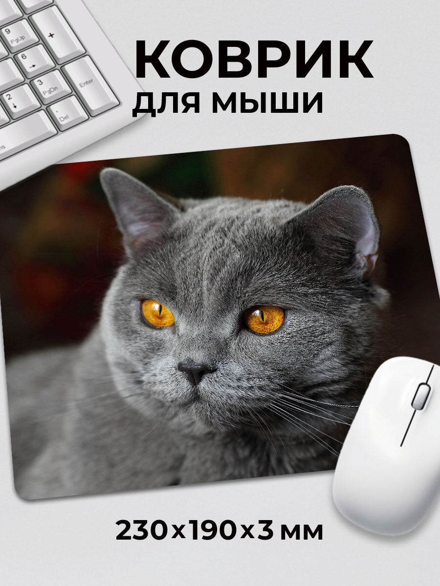 Коврик для мышки игровой маленький на стол Серый кот котик c тканевой поверхностью, на нескользящем резиновом основании
