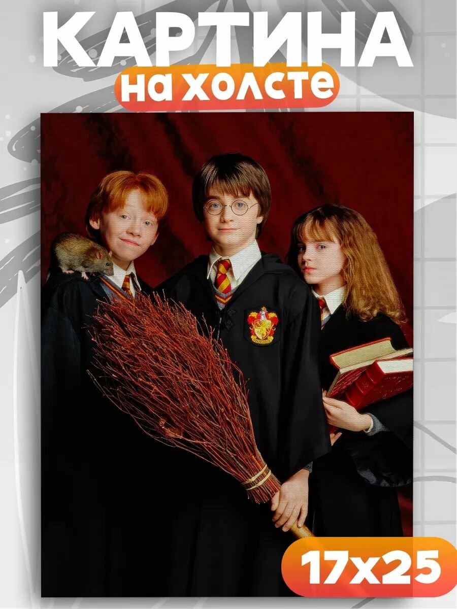 Картина на стену Гарри Поттер, на подрамнике, 1шт, 25х17 размер.