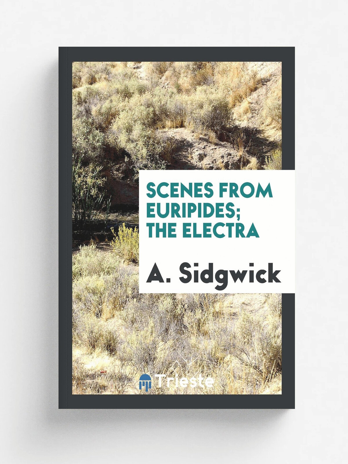 Scenes from Euripides; The Electra