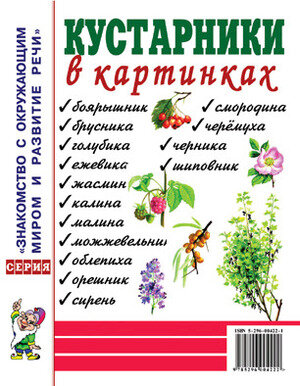 ЗнакомствоСОкружМиромИРазвитиеРечи Кустарники в картинках Нагляд. пос. д/педагогов, логопедов, воспита