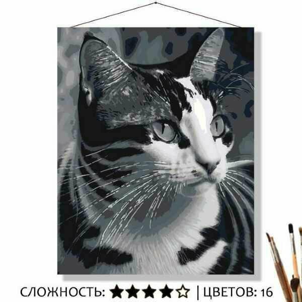 Картина по номерам Selfica "Полосатый котик", 50x40 см, акриловые краски, холст на подрамнике