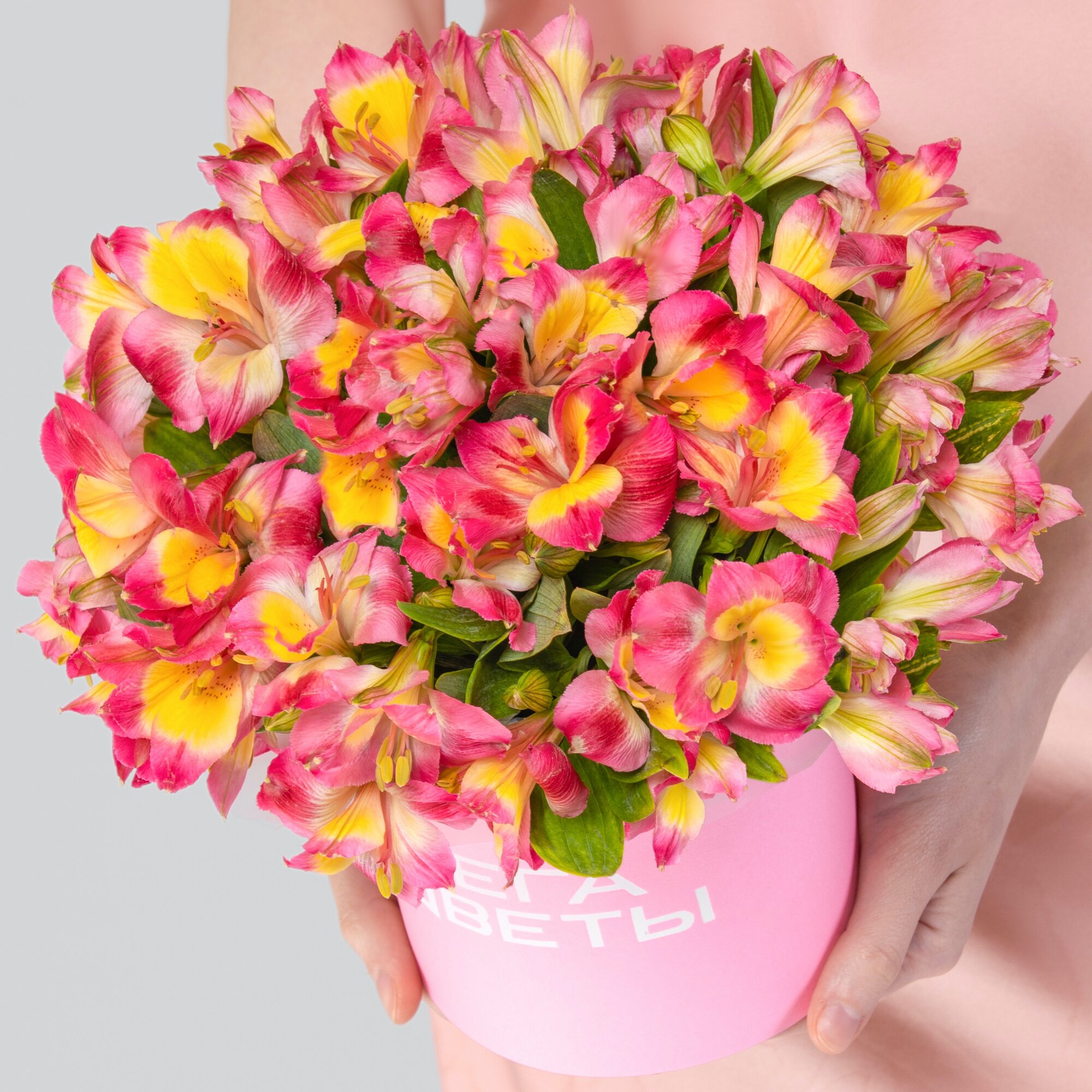 Букет Мегацвет24 "Розовые Альстромерии", 15 цветов, в коробке