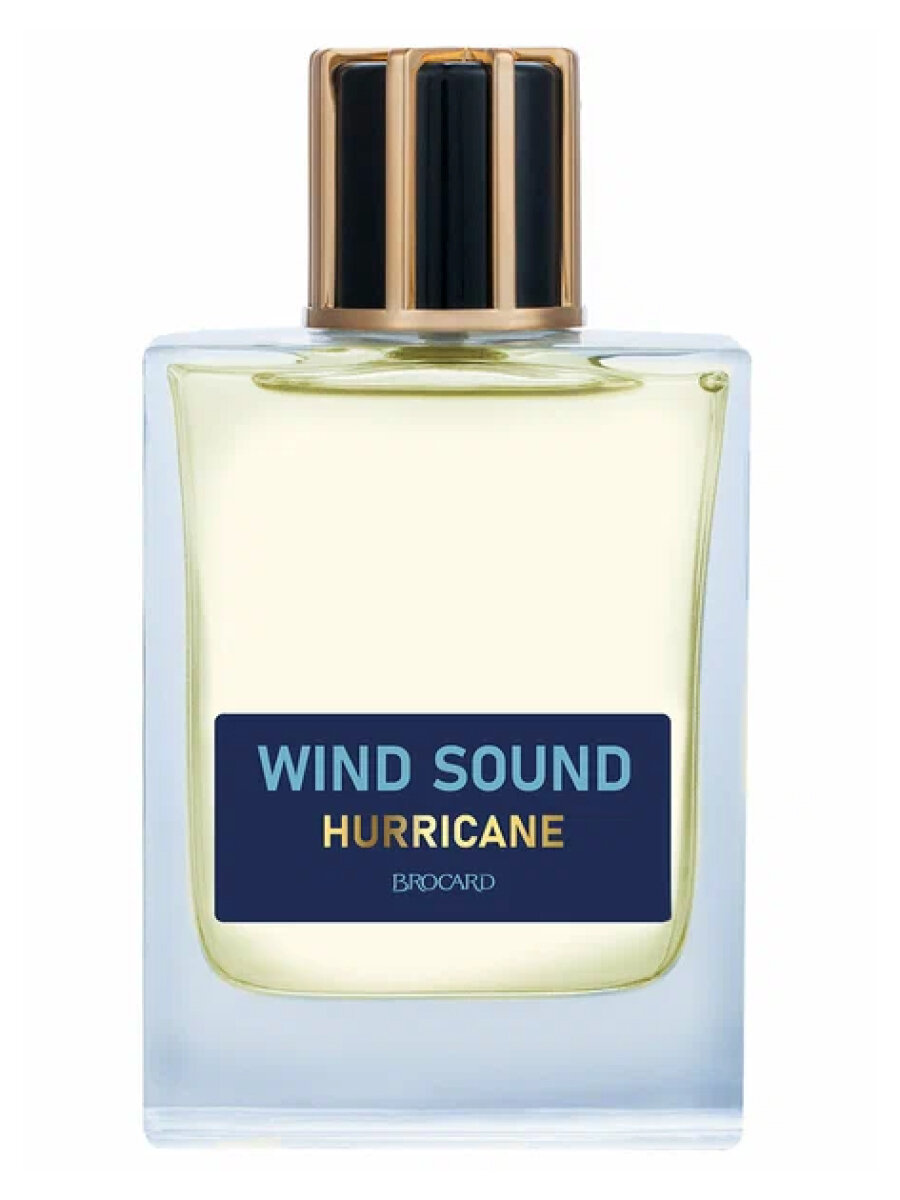 Brocard Wind Sound. Hurricane туалетная вода 100 ml