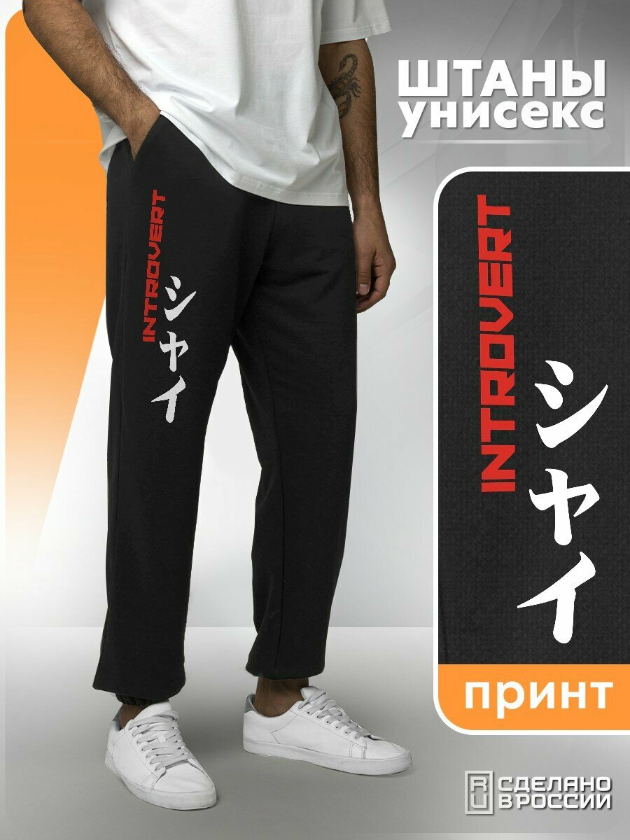 Брюки спортивные Бруталити