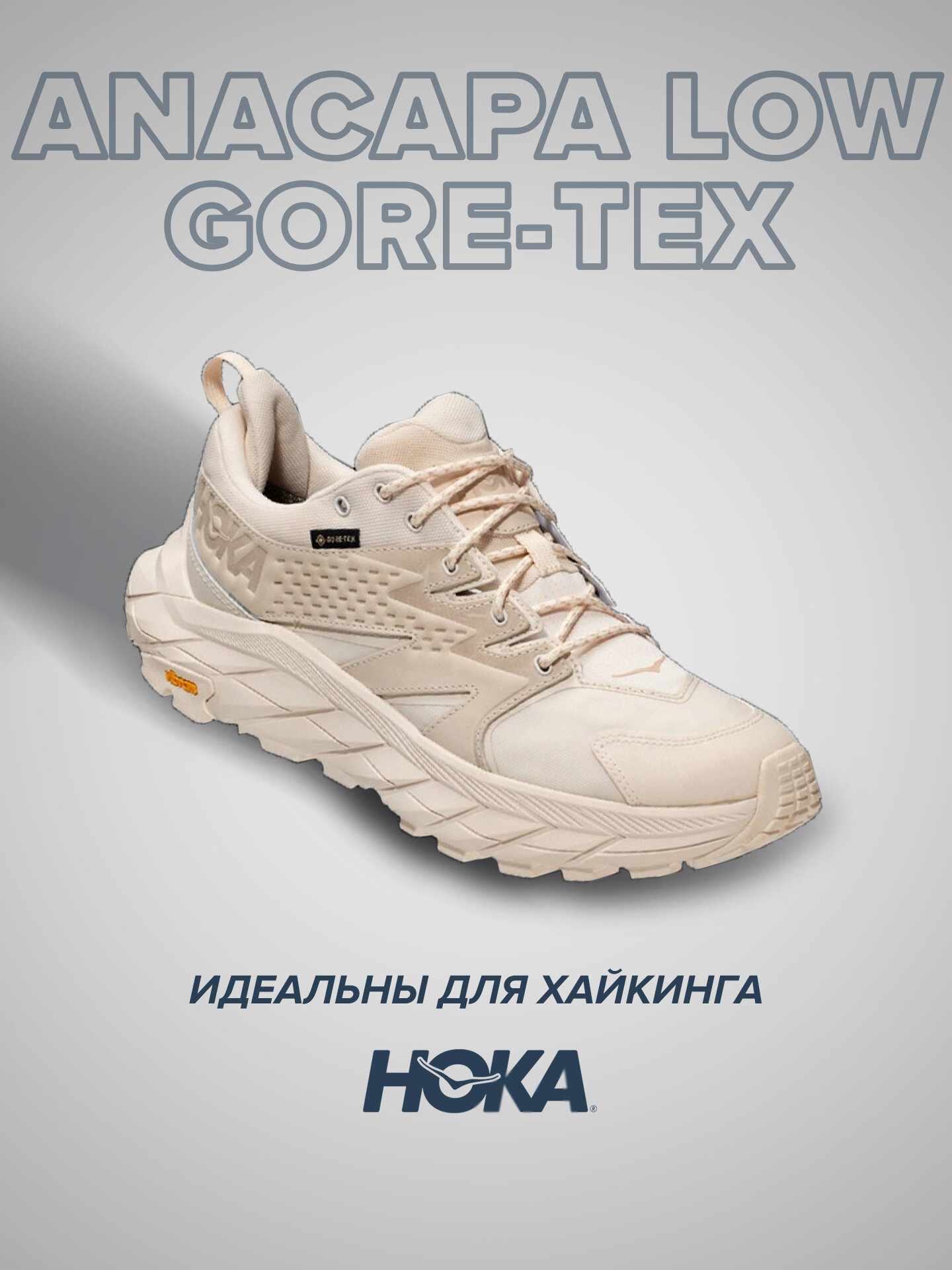 Кроссовки Anacapa low GTX