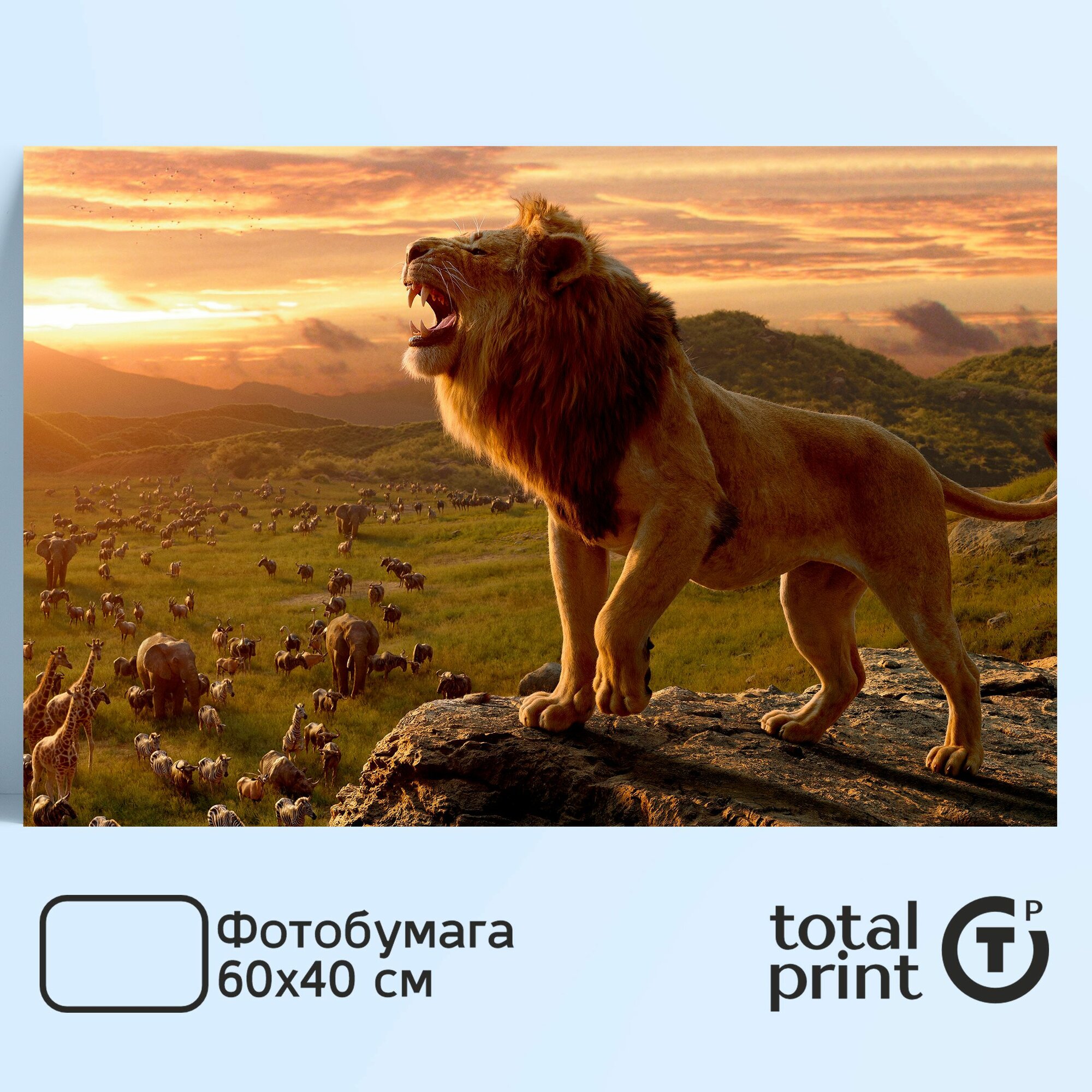 TotalPrint Постер для интерьера, Король Лев, 60х40см.