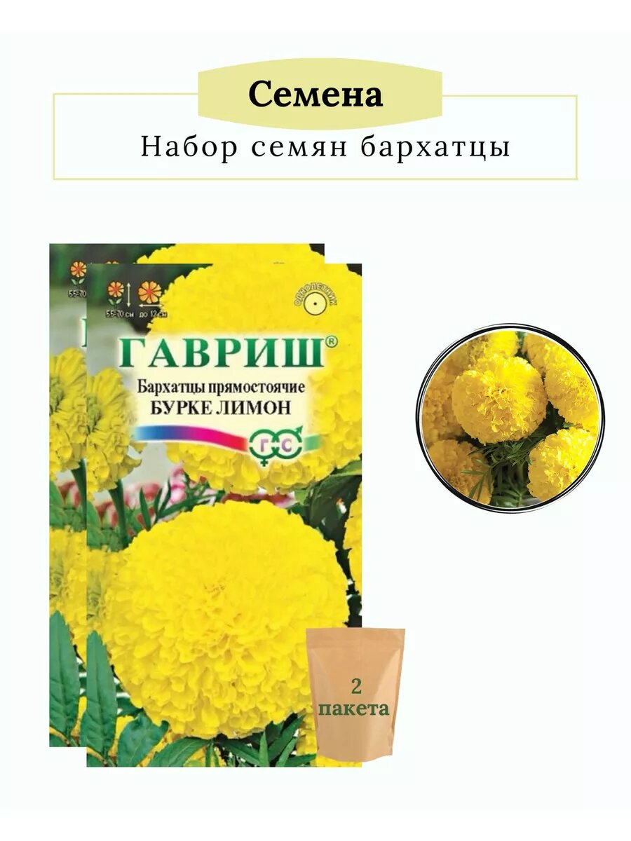 Семена