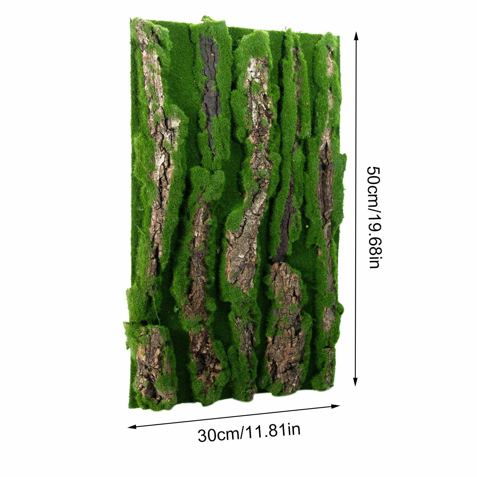 Фон Из Коры Аквариума С Бородатым Драконом