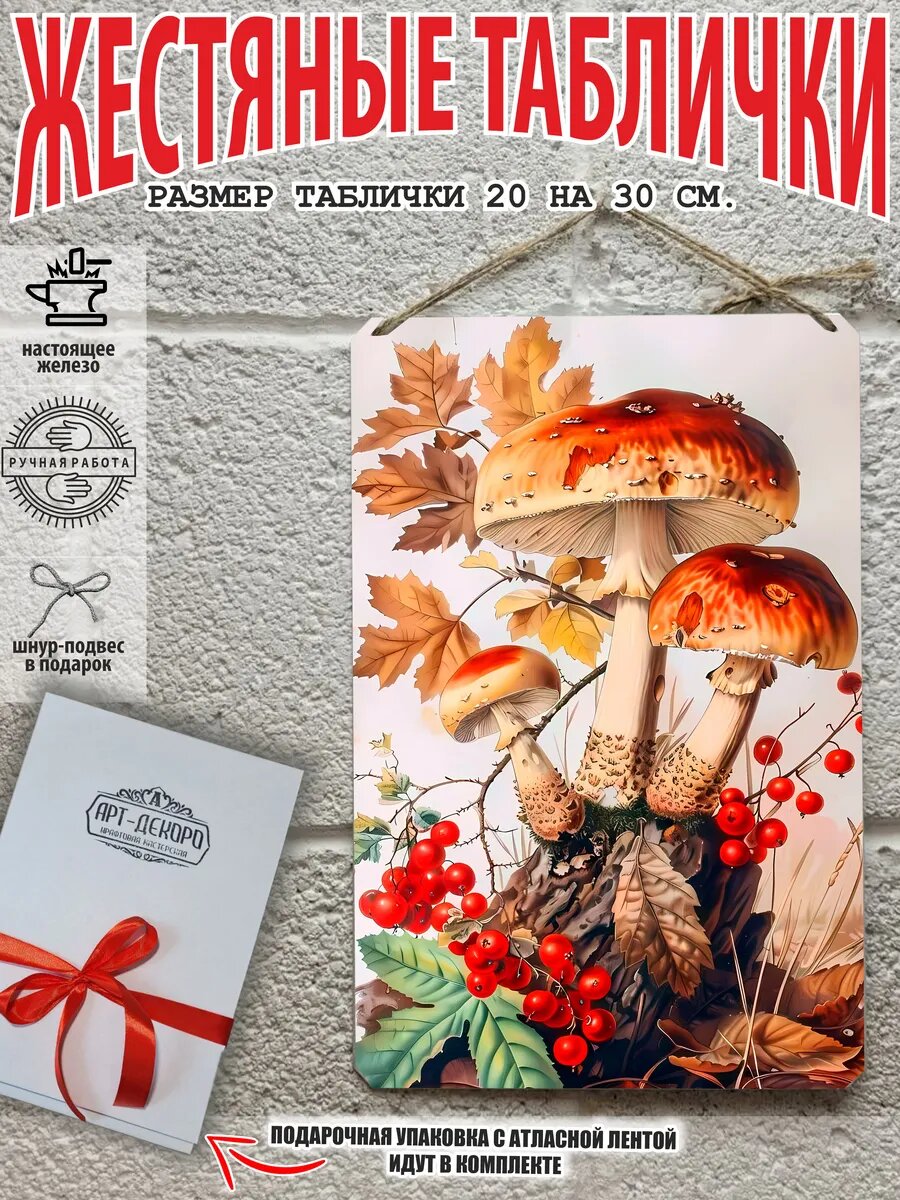 Картина на стену, постер на стену Грибы 20 на 30 см, шнур-подвес в подарок