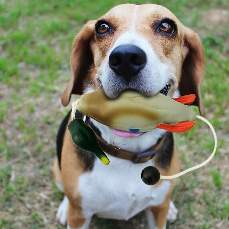 Поноска для охотничьей собаки / муляж кряквы/Игрушка для дрессировки домашних собак, имитирующая утку, поддельная утка, обучающая сопротивлению укусу