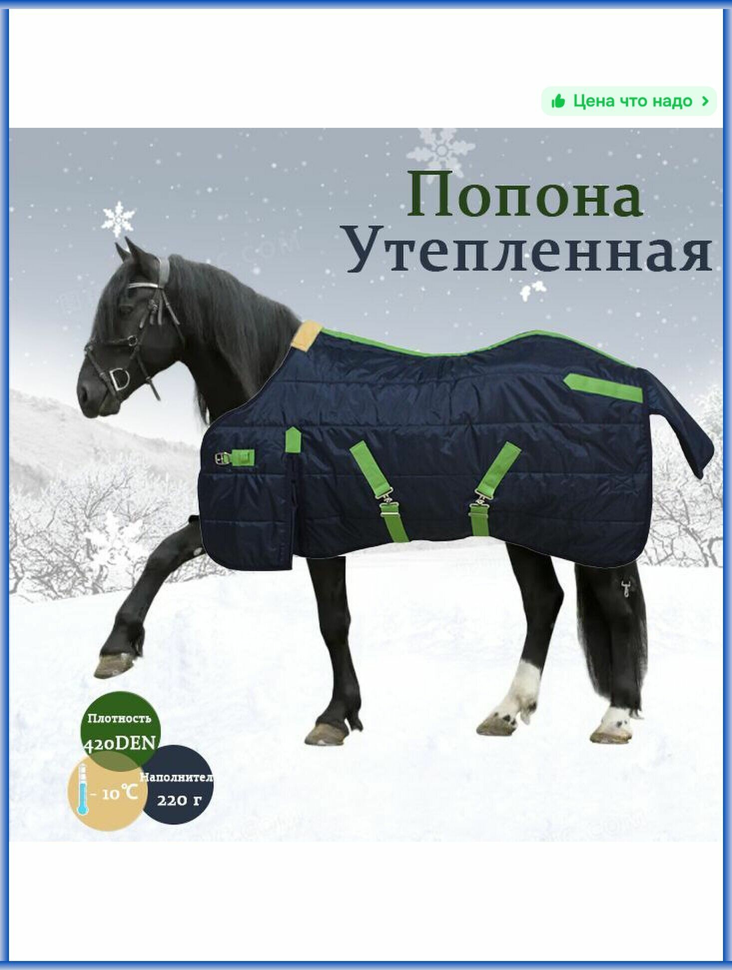 Попона для лошади: теплое и водонепроницаемое одеяло для комфортных прогулок
