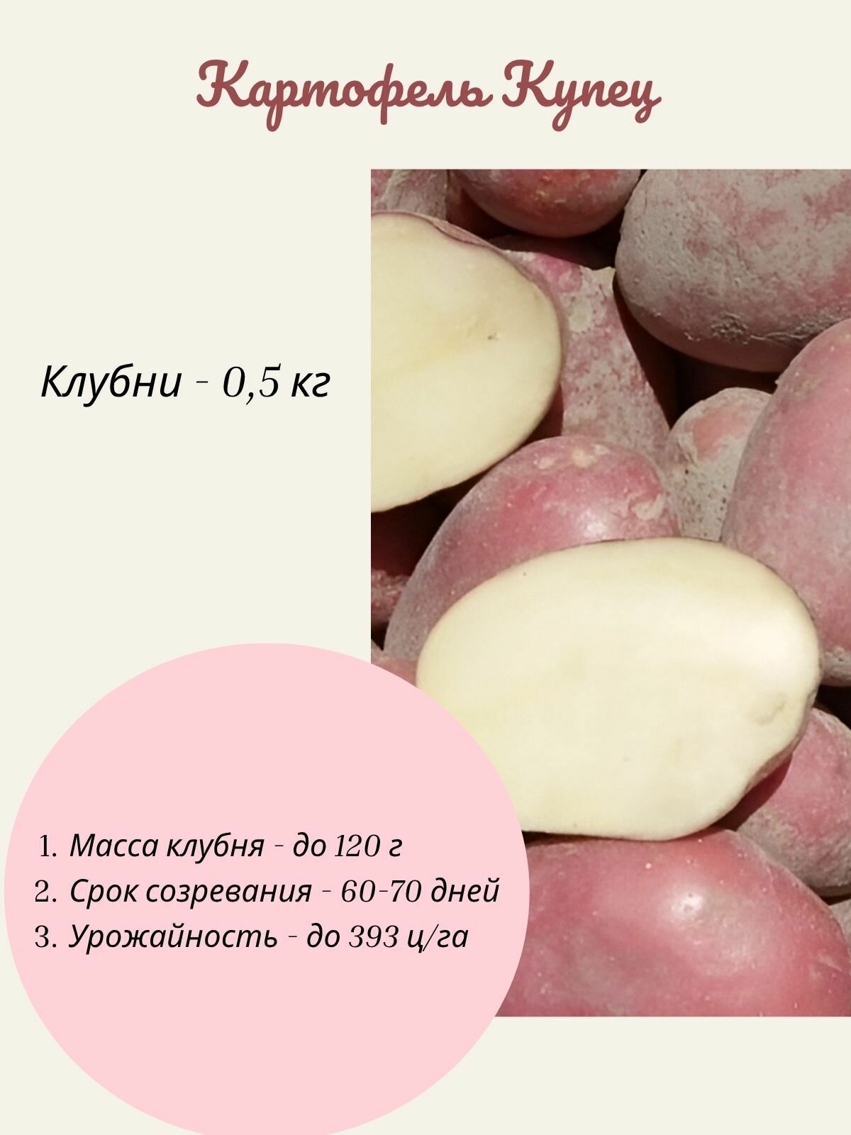 Картофель красный Купец 0,5 кг на посадку