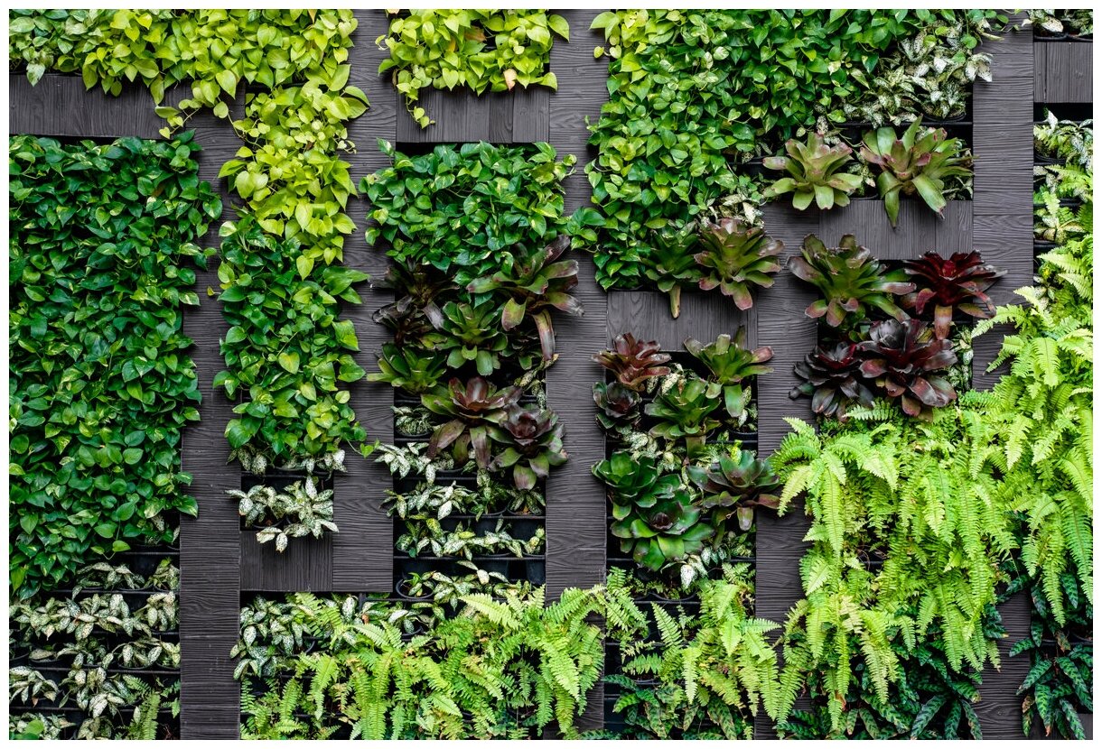 Фотообои на стену URBAN Design UDS-064 Вертикальный сад-4 200х135 см