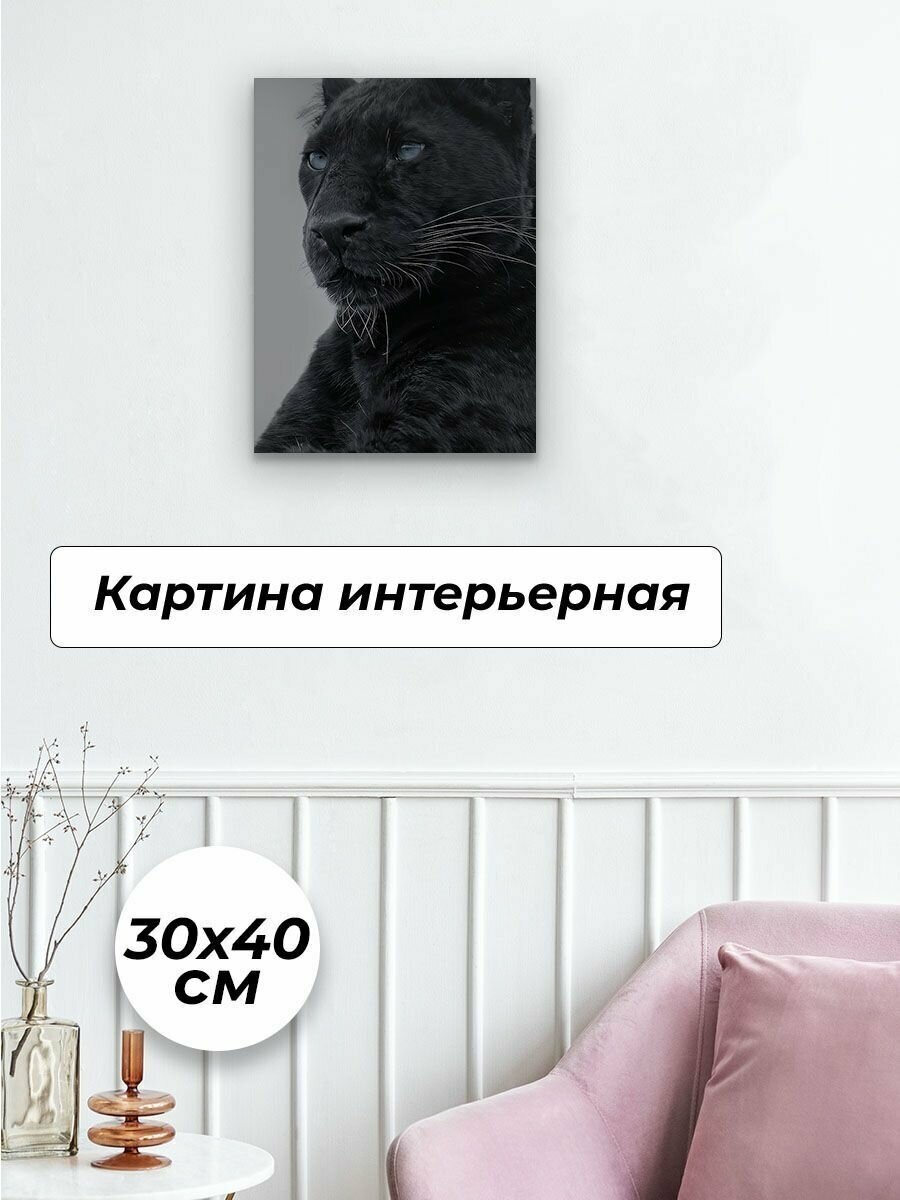 Картина на стену 30х40 Пантера Черная Кошка