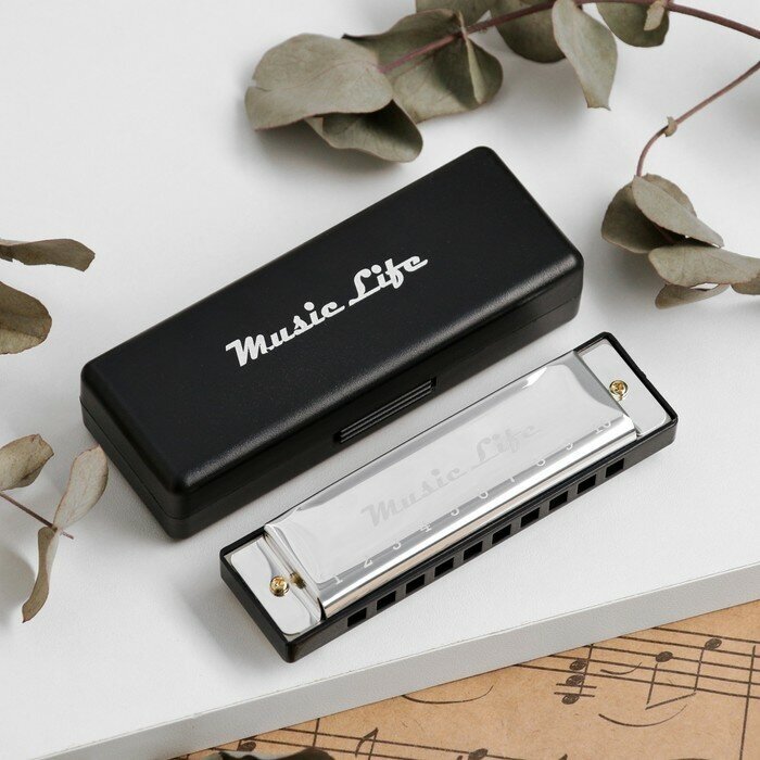 Губная гармошка Music Life, диатоническая, C-major, с футляром, серебристая, 4417174