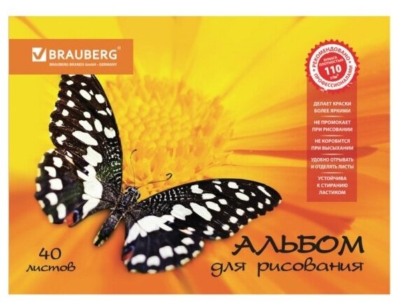 Альбом для рисования Brauberg А4, 40 листов, скоба, выборочный лак, 202х285 мм, "Летняя феерия"