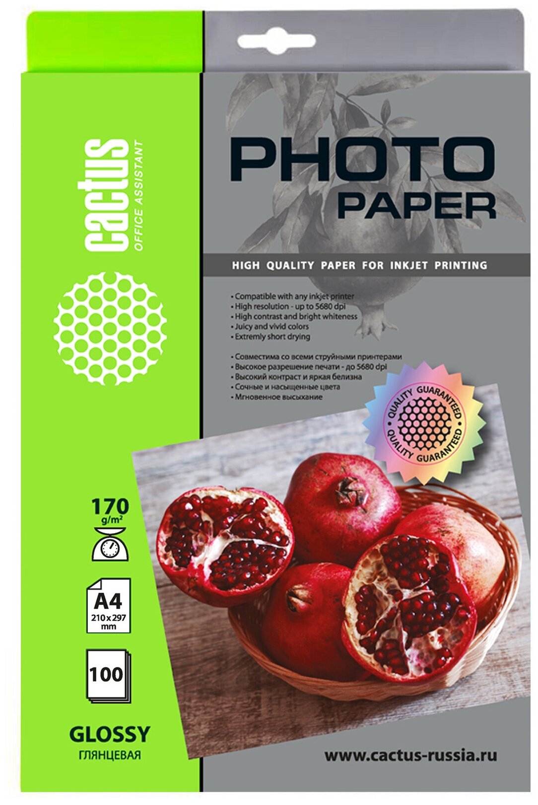 Фотобумага Cactus CS-GA4170100, A4, 170г/м2, 100л, для струйной печати, белый, покрытие глянцевое