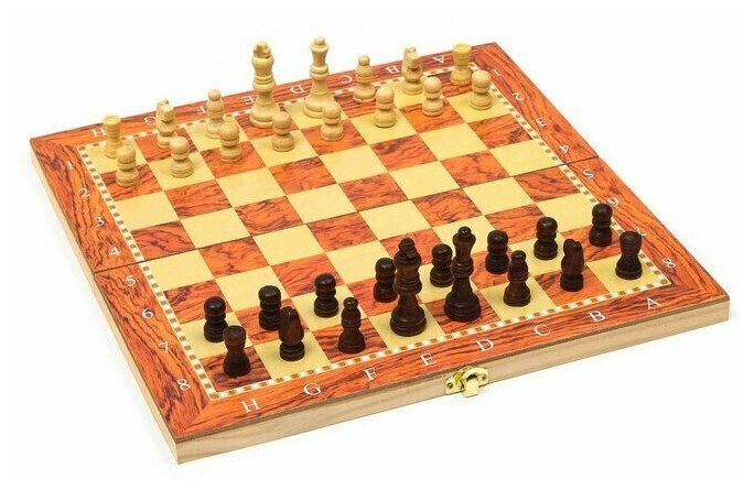 Настольная игра 3 в 1 'Падук': нарды, шахматы, шашки, 34 х 34 см