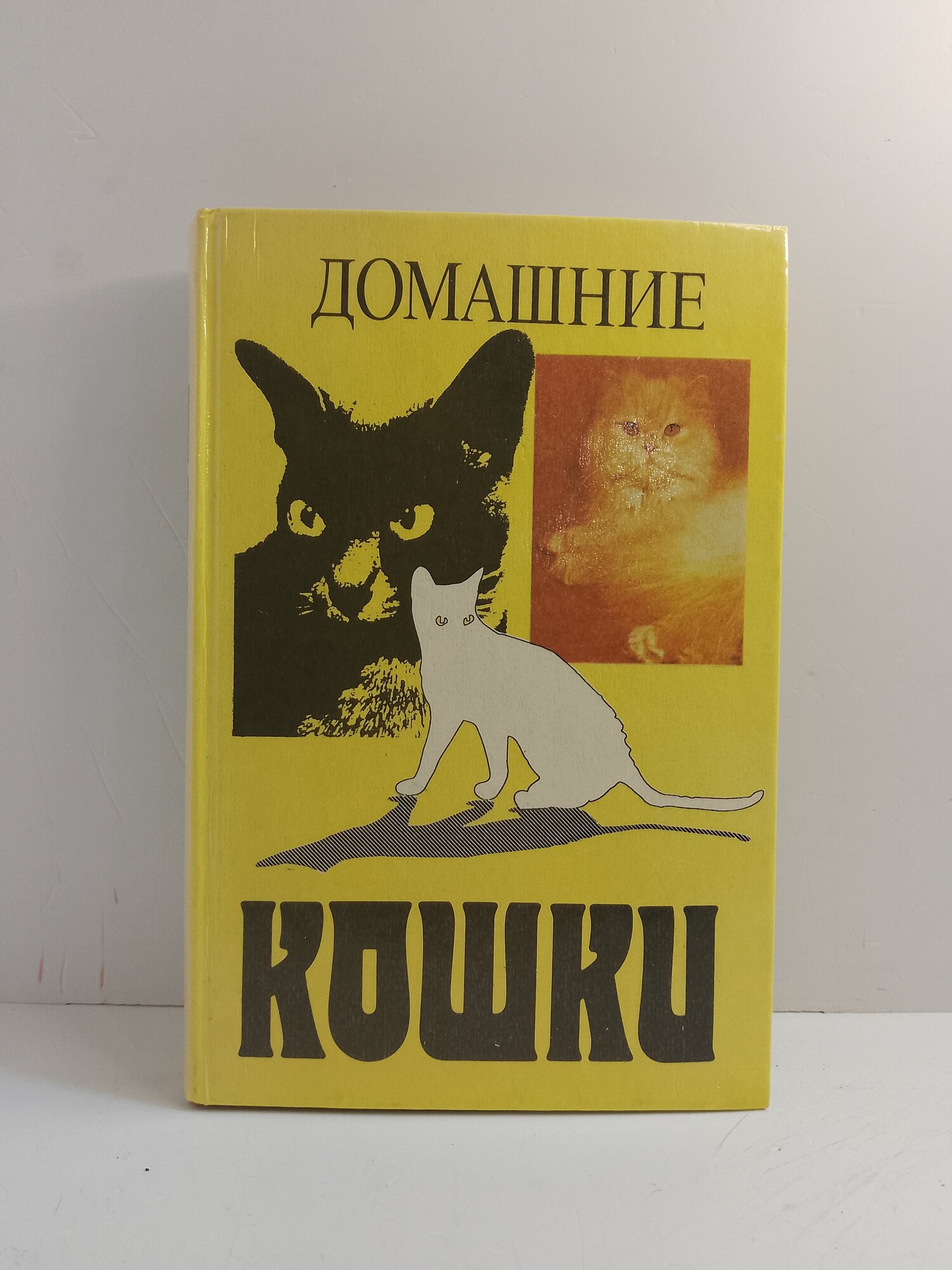 Домашние кошки