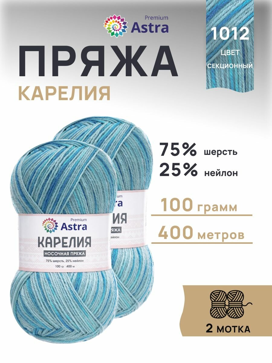 Пряжа носочная Astra Premium 'Карелия', 2 шт, 100г, 400м (75% шерсть, 25% нейлон) (1012)
