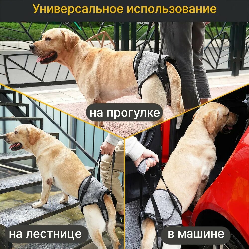 Ходунки для собак — фото 1