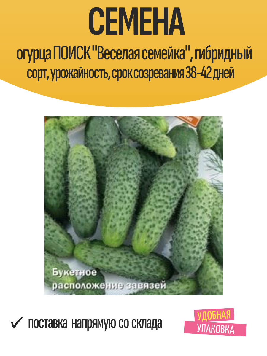 Семена огурца поиск "Веселая семейка", гибридный сорт, урожайность, срок созревания 38-42 дней