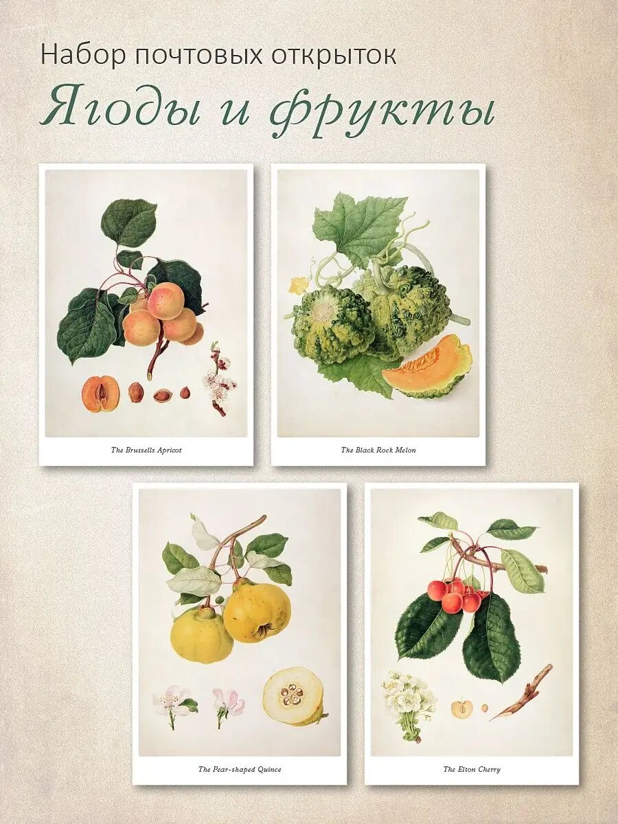 Почтовые открытки "Фрукты и ягоды" для посткроссинга, 10 шт.